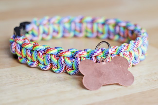 22 Amazing DIY Paracord Dog Collar Instructions Patterns 22 Amazing DIY Paracord Dog Collar Instructions Patterns