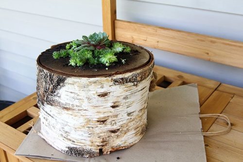 Log Planter: 18 DIY Ideas & How to Make Tutorials